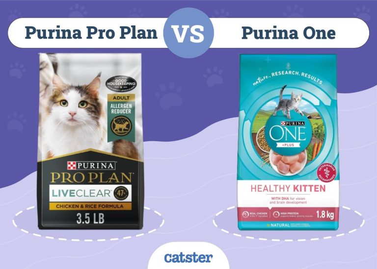 Purina Pro Plan vs Purina One Cat Food: 2026 Comparison - Catster