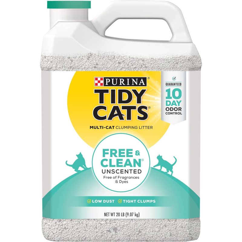 8 Best Cheap Cat Litters in 2026 - Reviews & Top Picks - Catster