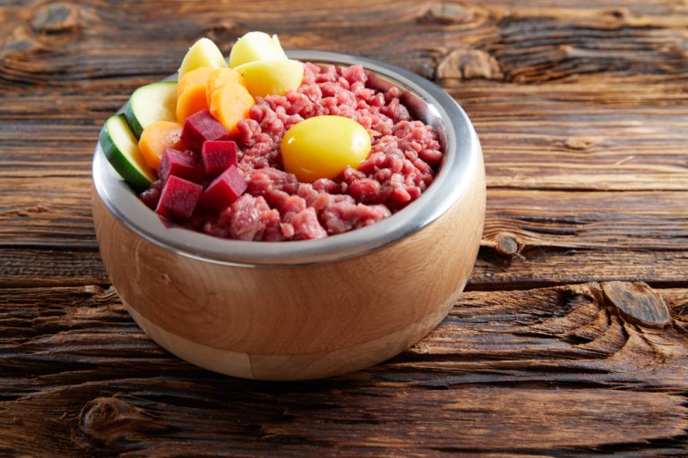 8 Types of Cat Food: Vet-Reviewed Nutrition Facts & Advice - Catster