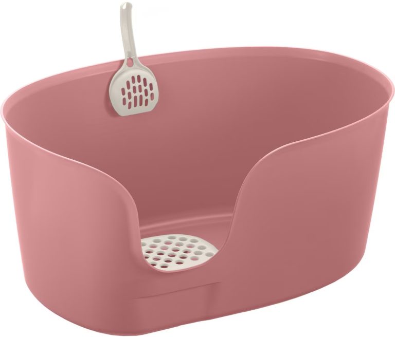 9 Best Cat Litter Boxes in 2026 - Reviews & Top Picks - Catster