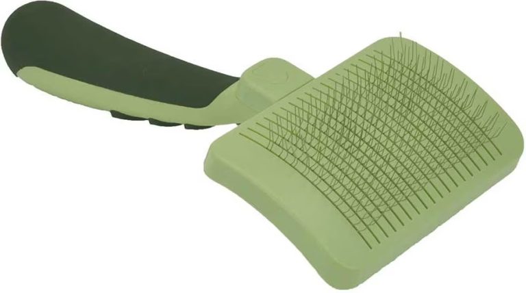 10 Best Cat Deshedding Tools in 2026 - Reviews & Top Picks - Catster