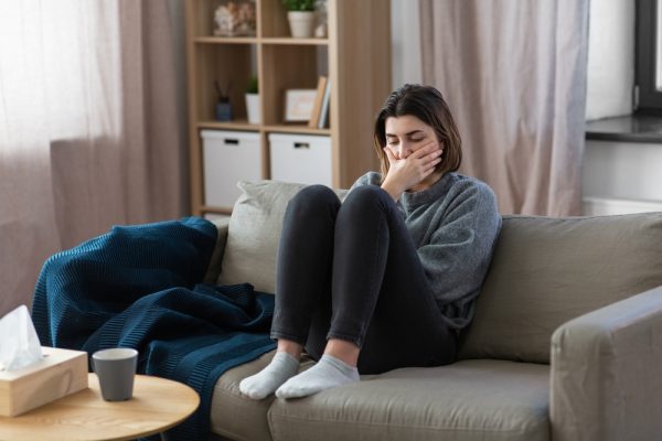 Understanding Ailurophobia: The Fear of Cats Explained - Catster