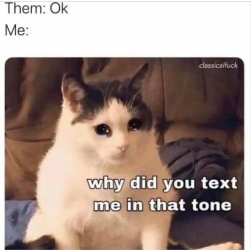 50 Perfect Crying Cat Memes - Sad But Hilarious Jokes - Catster