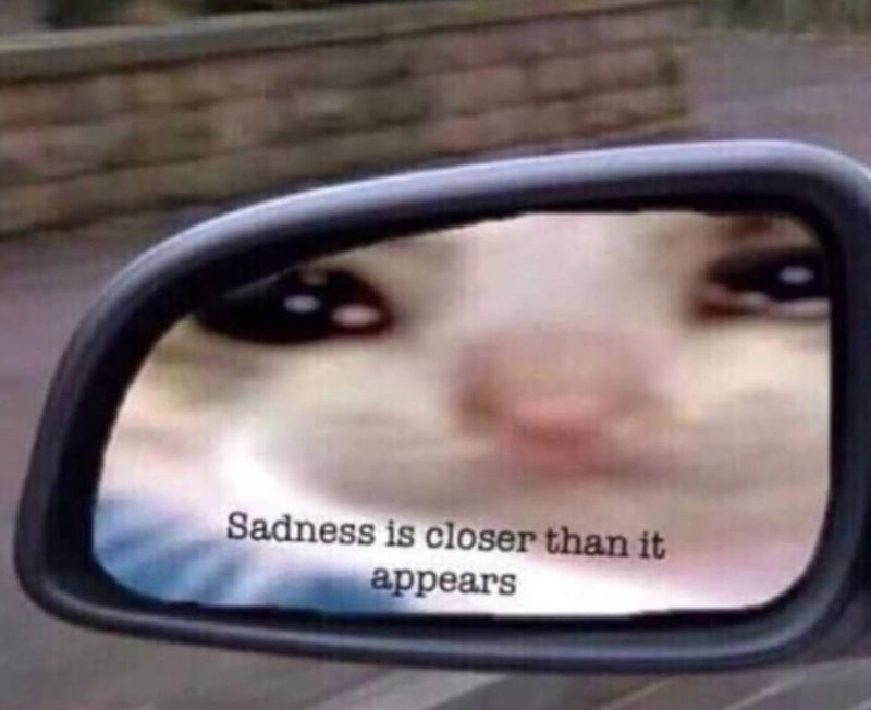 50 Perfect Crying Cat Memes - Sad But Hilarious Jokes - Catster
