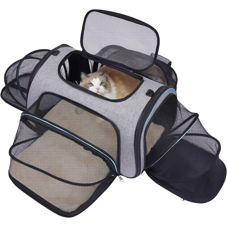 12 Best Cat Carriers for Car Travel In 2025 – Reviews & Top Picks - Catster