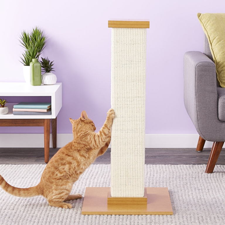 11 Best Tall Cat Scratching Posts In 2025 – Reviews & Top Picks - Catster