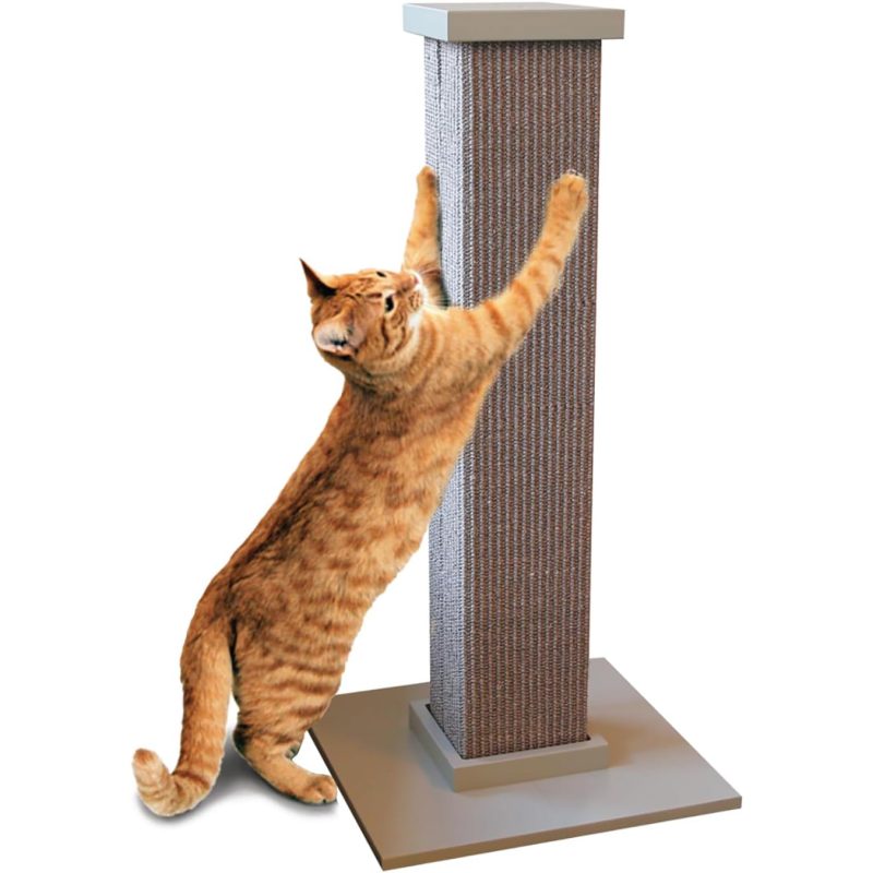 7 Best Scratching Posts for Large Cats in 2026 - Reviews & Top Picks ...