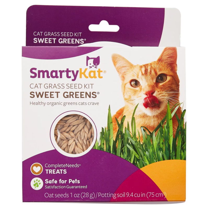 9 Best Cat Grass in 2026 - Reviews & Top Picks - Catster