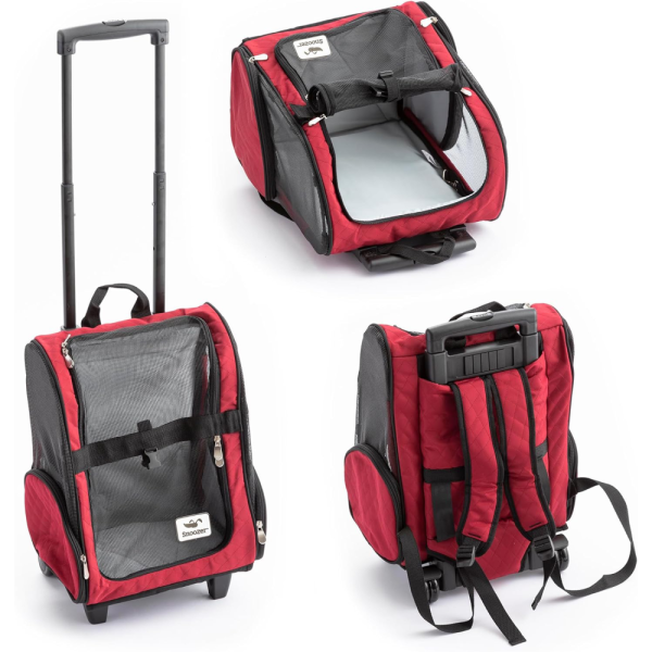 8 Best Cat Backpacks in 2026 - Reviews & Top Picks - Catster