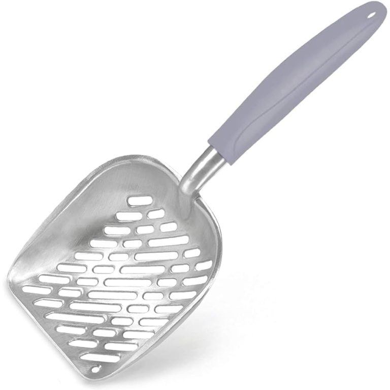 10 Best Cat Litter Scoops of 2026 - Reviews & Top Picks - Catster