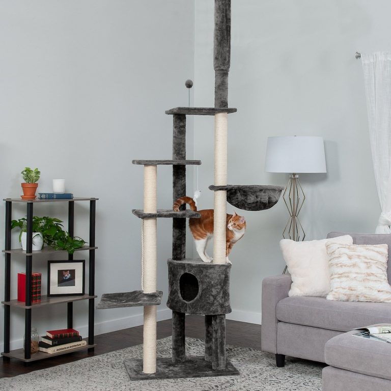 10 Best Cat Trees for Multiple Cats in 2025 - Reviews & Top Picks - Catster