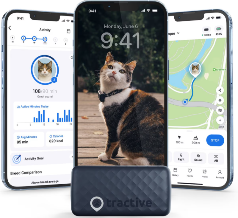 8 Best Cat GPS Trackers & Collars in 2026 – Reviews & Top Picks - Catster