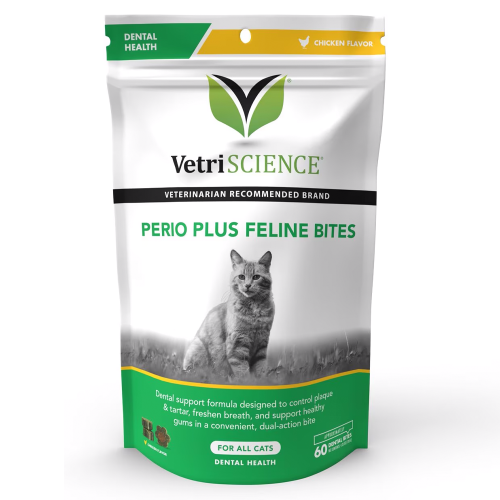 8 Best Dental Treats for Cats in 2026 - Reviews & Top Picks - Catster