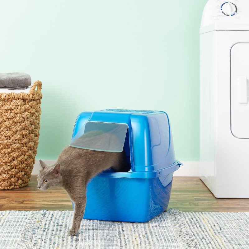 9 Best Cat Litter Boxes in 2026 - Reviews & Top Picks - Catster