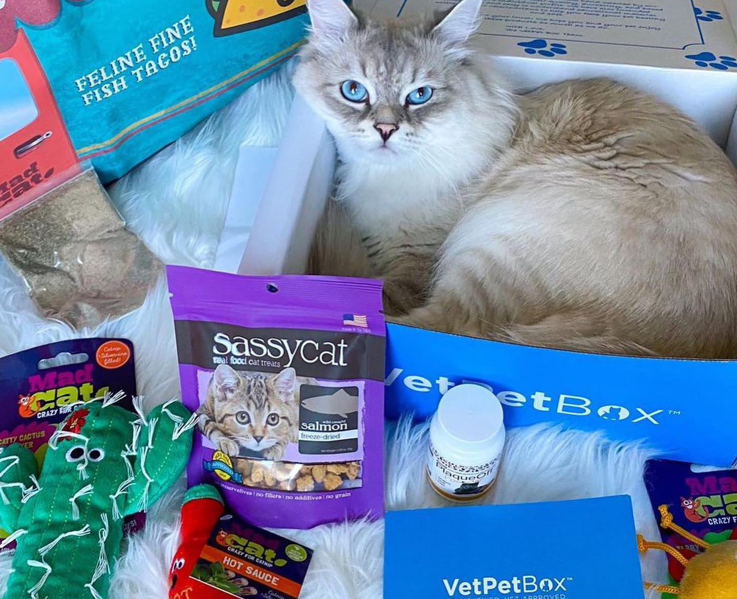 10 Best Cat Subscription Boxes in 2025 - Reviews & Top Picks - Catster