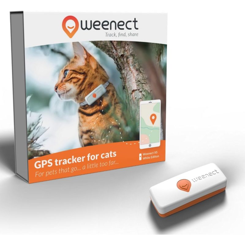8 Best Cat GPS Trackers & Collars in 2026 – Reviews & Top Picks - Catster