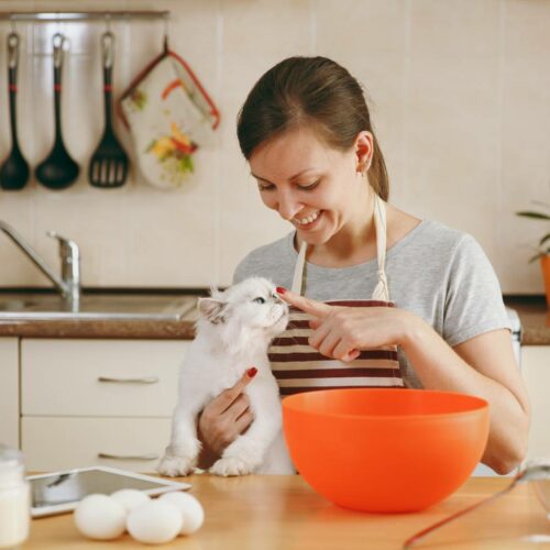 3 Homemade Tuna Cat Treats You Can Make Today: Our Vet's Recipes - Catster