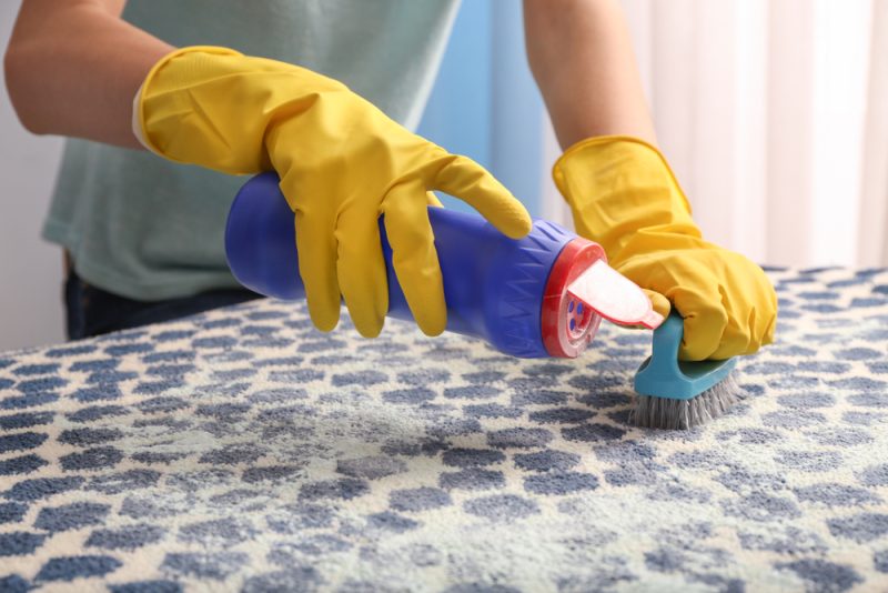 How to Clean Up Cat Vomit: 9 Helpful Tips - Catster