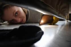 I Can't Find My Cat Anywhere in the House: What to Do Next & Useful ...
