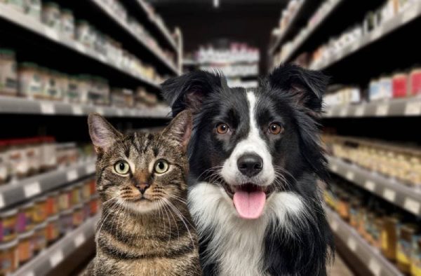 20 Pet-Friendly Stores in the US (2026 Update) - Catster