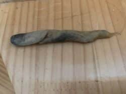 What Does a Cat Hairball Look Like? Vet-Reviewed Facts & FAQ - Catster