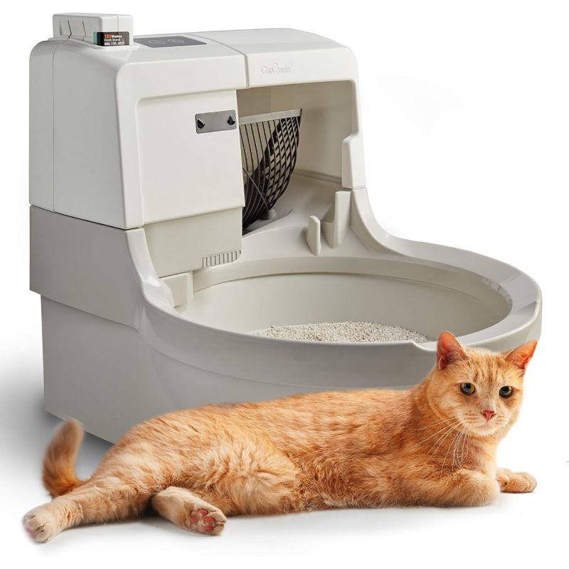 8 Best Automatic Litter Boxes for Self-Cleaning in 2026 - Reviews & Top ...