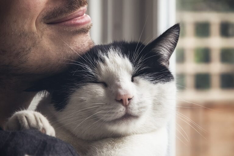 Why Do Cats Like Beards? 7 Vet-Reviewed Reasons - Catster