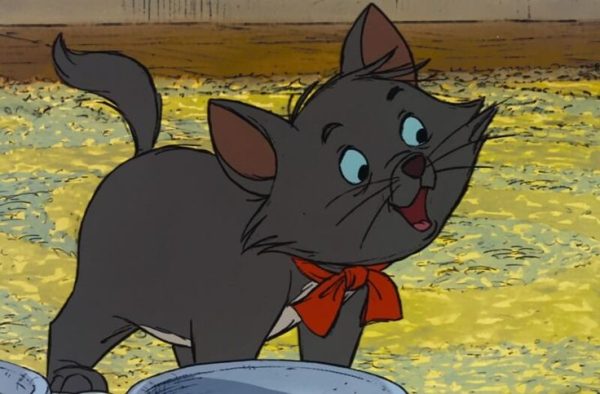 What Kind of Cat Breed is Berlioz from the Aristocats? Disney Felines ...