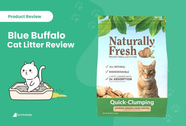 Blue Buffalo Cat Litter Review of 2024: Recalls, Pros & Cons - Catster