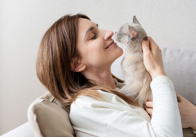What Is a Cat Kiss? Feline Affection Explained - Catster