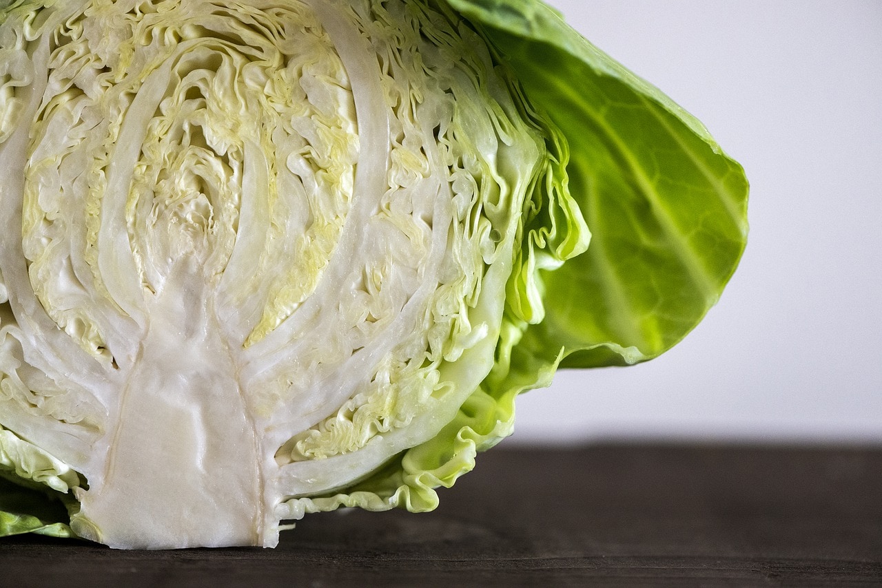 Can Cats Eat Cabbage? Vet-Reviewed Health and Nutrition Advice - Catster