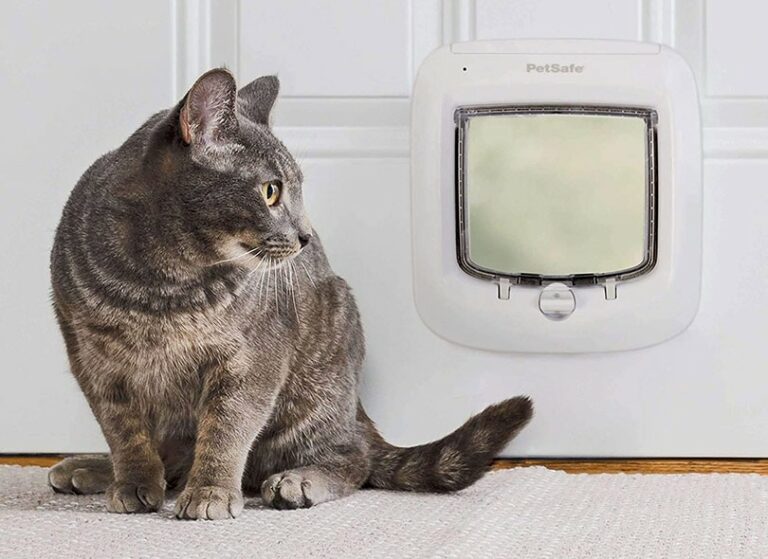 8 Best Electronic & Automatic Cat Doors in 2024 — Reviews & Top Picks ...