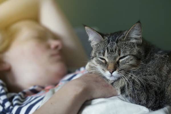 Why Does My Cat Wake Me Up Every Morning? 5 Vet-Reviewed Reasons - Catster