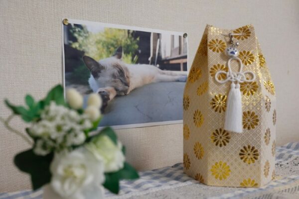 My Cat Died at Home, What Do I Do? 7 Vet-Reviewed Steps to Take - Catster