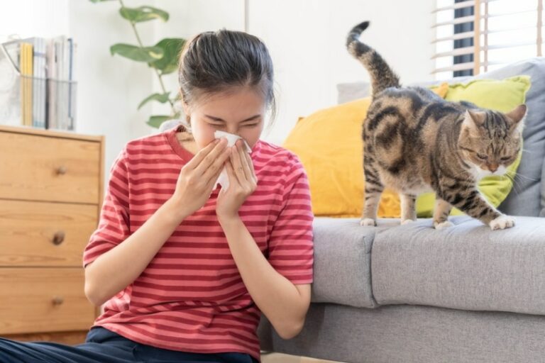 How to Tell If You're Allergic to Cats: 7 Signs to Look For - Catster