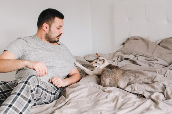 6 Reasons Your Cat May Attack You & How to Fix It - Catster