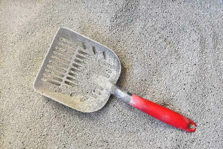 10 Best Cat Litter Scoops of 2026 - Reviews & Top Picks - Catster