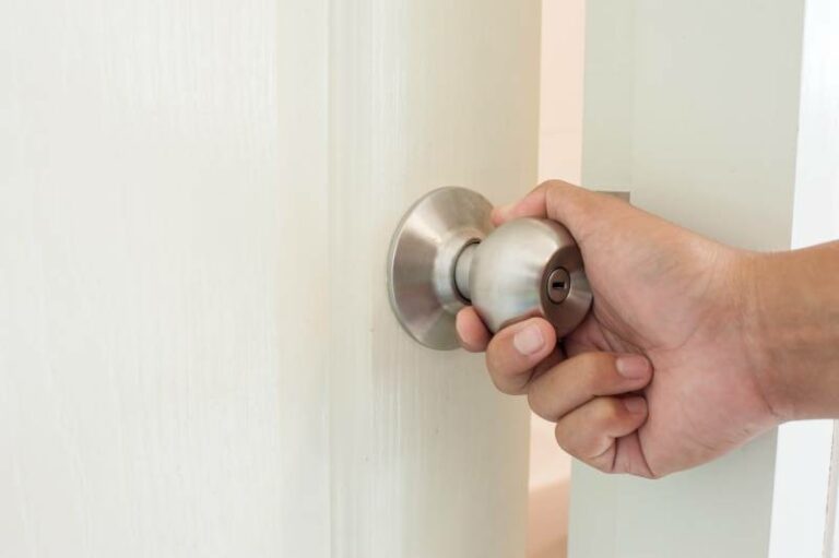 My Cat Killed a Mouse, What to Do? Our Vet Answers & Explains - Catster