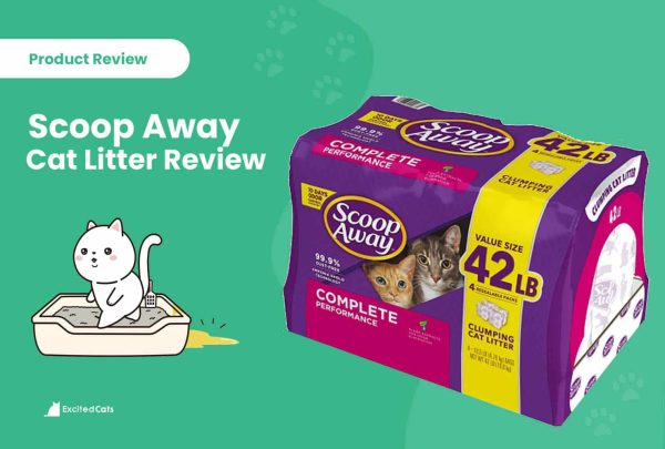 Scoop Away Cat Litter Review of 2024: Recalls, Pros & Cons - Catster
