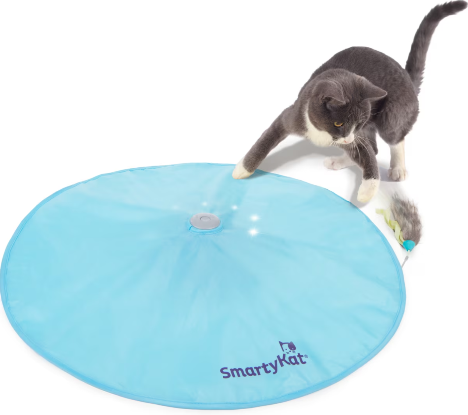 8 Best Motorized Cat Toys (2026) – Reviews & Top Picks - Catster