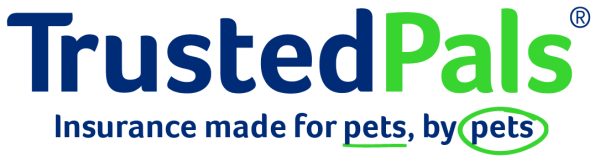 10 Best Pet Insurance for Cats (2026) - Unbiased Cost & Coverage ...