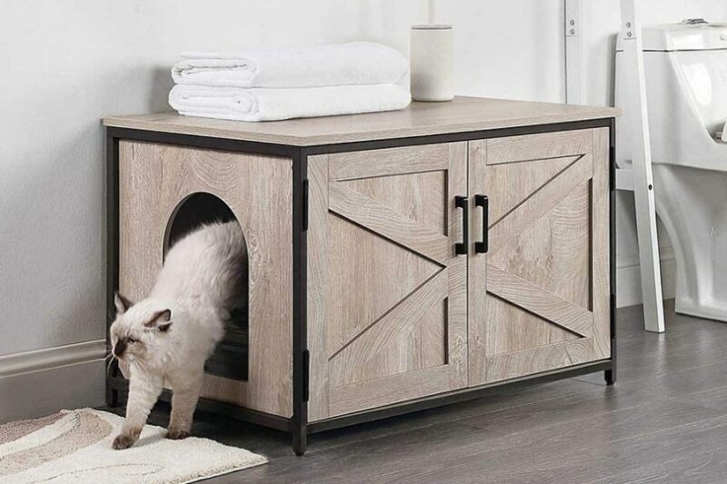 9 Best Covered & Enclosed Cat Beds in 2025 — Reviews & Top Picks - Catster