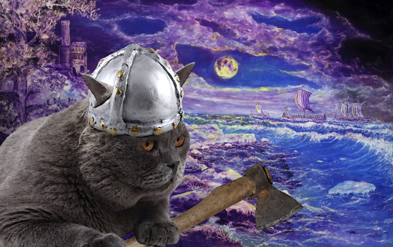 400 Viking & Norse Cat Names: Great Ideas for Strong Cats - Catster