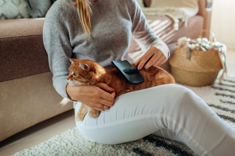 9 Best Cat Combs of 2025: Reviews & Top Picks - Catster