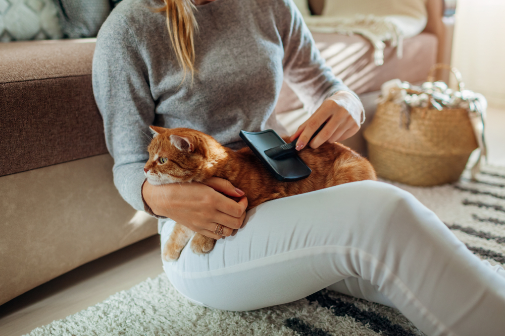 9 Best Cat Combs of 2025: Reviews & Top Picks - Catster