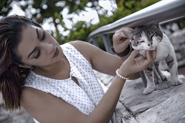 Why Do Cats Like Chin Scratches? 9 Vet-Reviewed Reasons - Catster