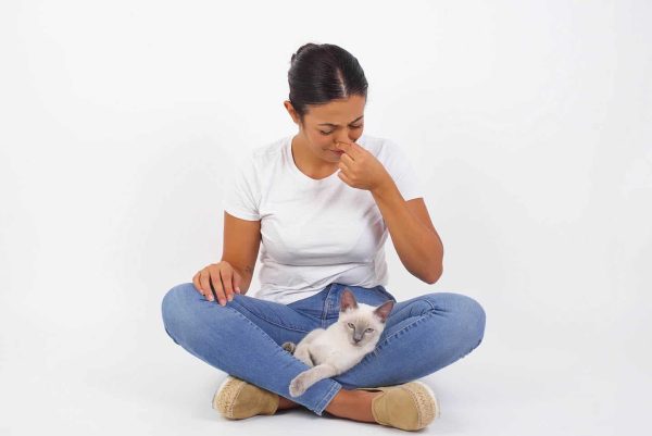 Why Do People Hate Cats? What Science Tells Us - Catster