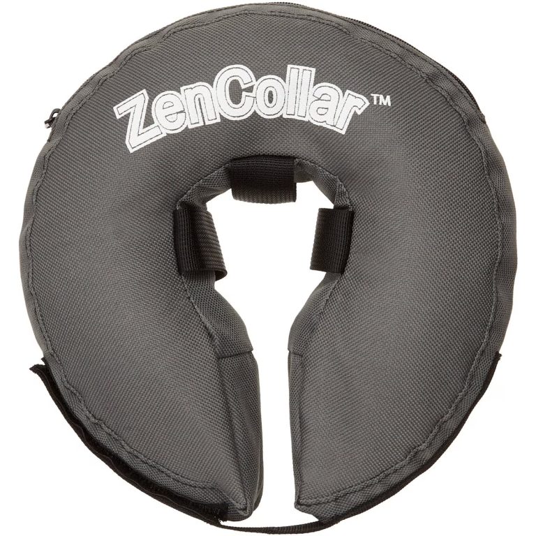 5 Vet-Approved Cat Cone Alternatives For When They Need an E-collar ...