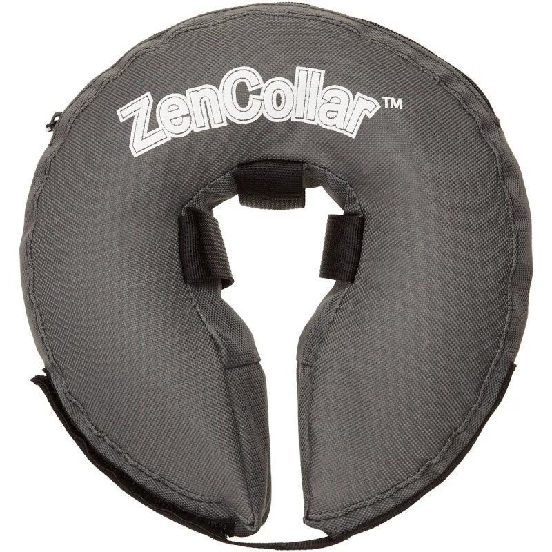 5 Vet-Approved Cat Cone Alternatives For When They Need an E-collar ...