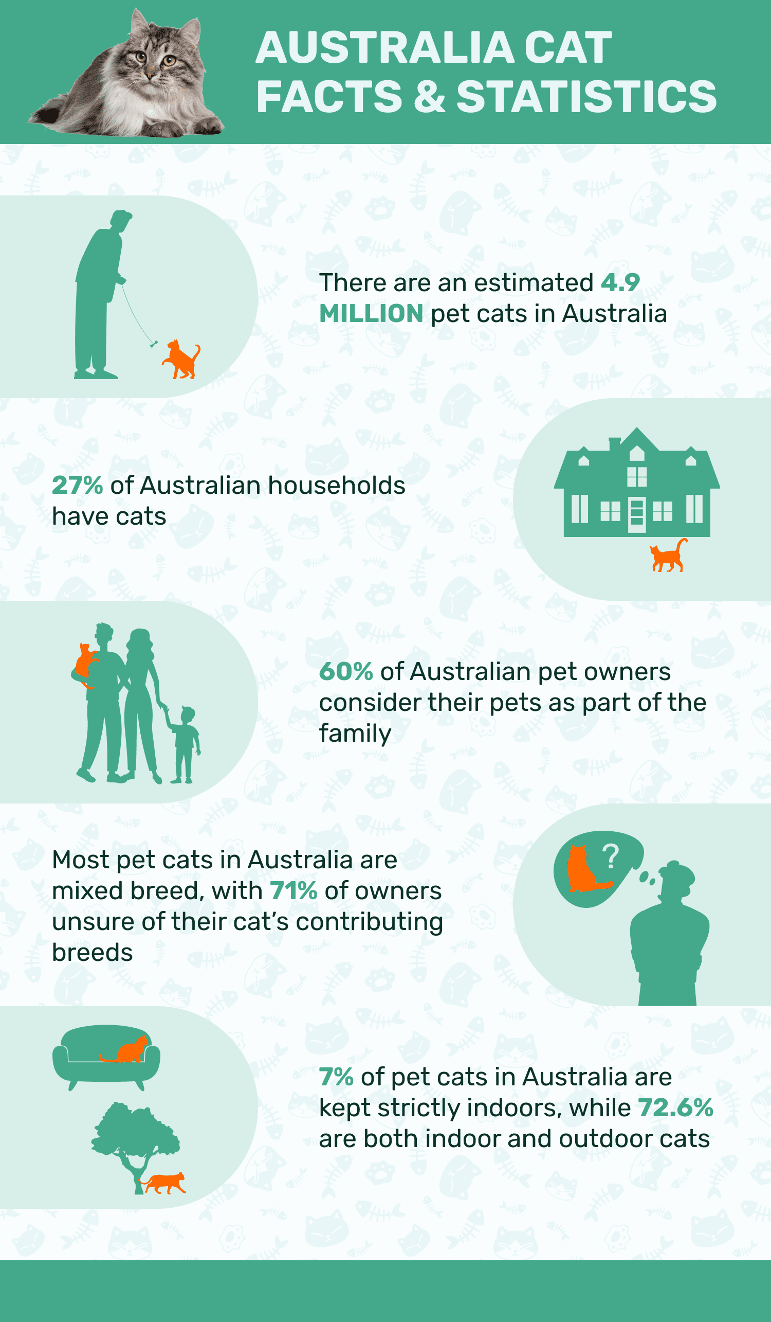 22 Australia Cat Statistics & Facts All Cat Lovers Should Know (2023 Update) - Catster
